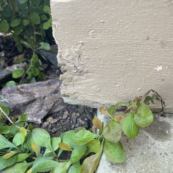 FOX PROPERTY MANAGEMENT - Updated December 2025 - 30 Photos & 62 ...