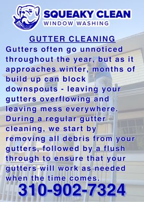 SQUEAKY CLEAN WINDOW WASHING - Updated October 2025 - 27 Photos & 19 ...