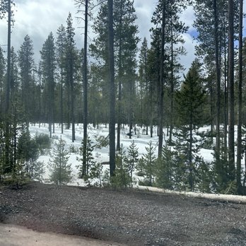 COWBOY DINNER TREE - Updated July 2025 - 336 Photos & 178 Reviews ...