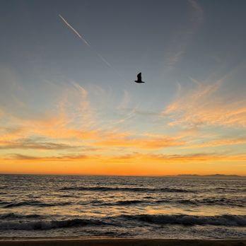 RIGHT AT TORRANCE “RAT” BEACH - Updated December 2025 - 188 Photos & 47 ...