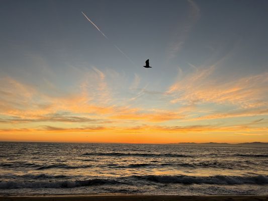 RIGHT AT TORRANCE “RAT” BEACH - Updated December 2025 - 188 Photos & 47 ...