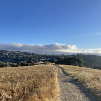 EDGEWOOD PARK & NATURAL PRESERVE - Updated January 2026 - 656 Photos ...