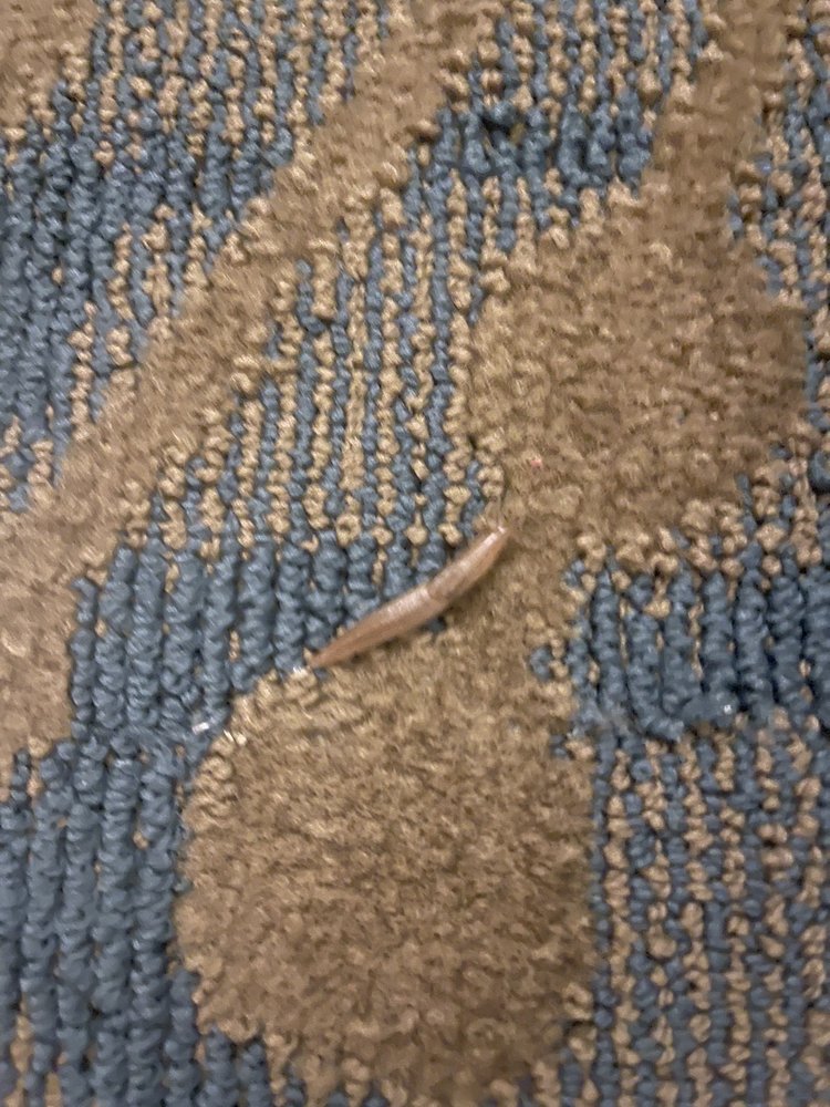 SOLSTICE HOTEL, ASCEND HOTEL COLLECTION - Updated August 2025 - 54 ...