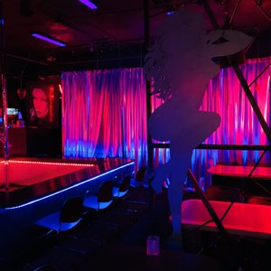 LUCKY DEVIL LOUNGE - 29 Photos & 109 Reviews - Bars - 633 SE Powell ...
