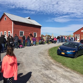 ELLMS FAMILY FARM - Updated August 2025 - 28 Photos & 20 Reviews - 448 ...