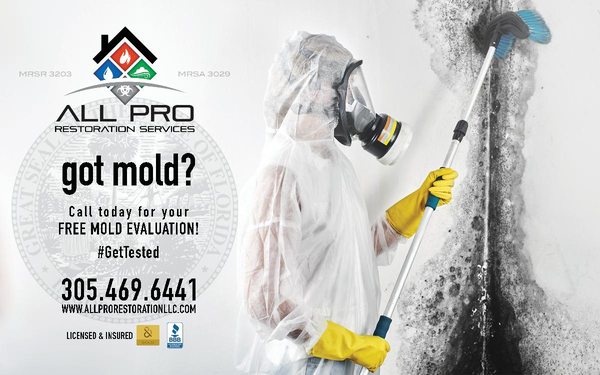 ALL PRO RESTORATION SERVICES - Updated June 2025 - 46 Photos - 13331 SW ...