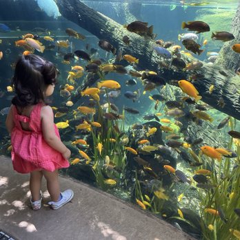 PALO ALTO JUNIOR MUSEUM & ZOO - Updated December 2025 - 724 Photos ...