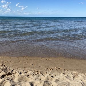 GILLSON PARK - 180 Photos & 65 Reviews - 800 Gillson Park Dr, Wilmette ...