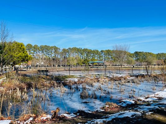 RED WING PARK - Updated April 2025 - 528 Photos & 71 Reviews - 1398 ...