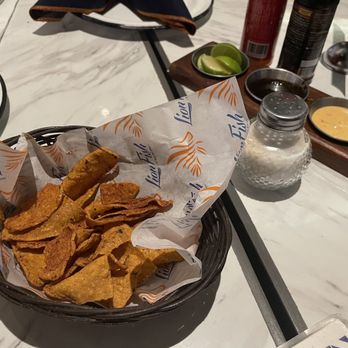 LION FISH - Updated June 2024 - 949 Photos & 407 Reviews - Erasmo ...