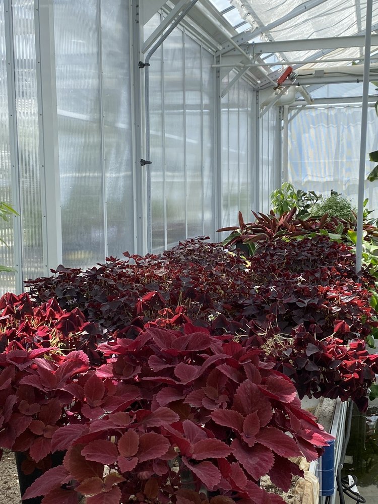 ALBERTA HOSPITAL EDMONTON - Updated June 2025 - 17480 Fort Road NW ...