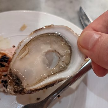 PEARL DIVER - Updated May 2024 - 1203 Photos & 633 Reviews - 100 ...