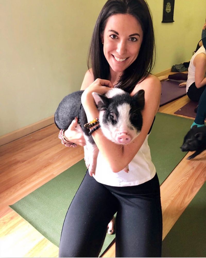 Yoga Hive Philly - Trusted Since 2018 - Updated July 2025 - 50 Photos ...