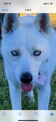 SIMI VALLEY PUBLIC LIBRARY - Updated January 2026 - 40 Photos & 38 ...