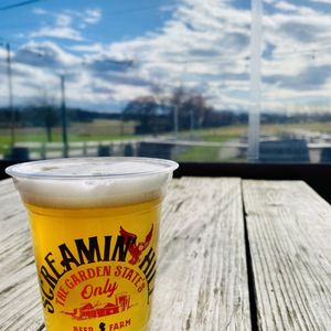 NEEDLE CREEK FARM BREWERY - Updated June 2025 - 32 Photos - 91 Titus ...