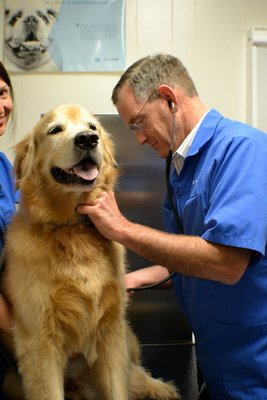 Carson Animal Hospital - Updated May 2026 - 62 Photos & 15 Reviews ...