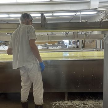 SCRAY CHEESE - Updated December 2025 - 46 Photos & 40 Reviews - 2082 ...