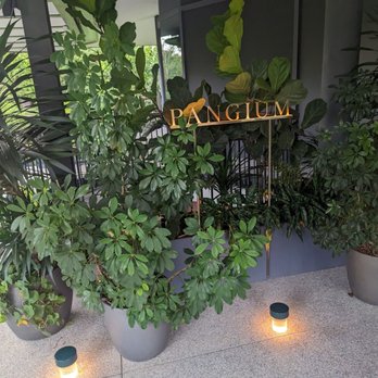 PANGIUM - Updated September 2025 - 41 Photos - 11 Gallop Rd, Singapore ...