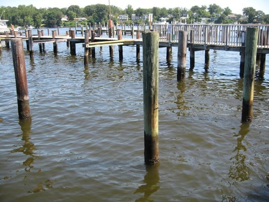 MIKE’S BAR & CRAB HOUSE - Updated September 2025 - 1315 Photos & 1296 ...