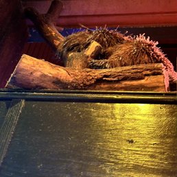 DOC’S FOOD & SPIRITS - Updated July 2025 - 180 Photos & 310 Reviews ...