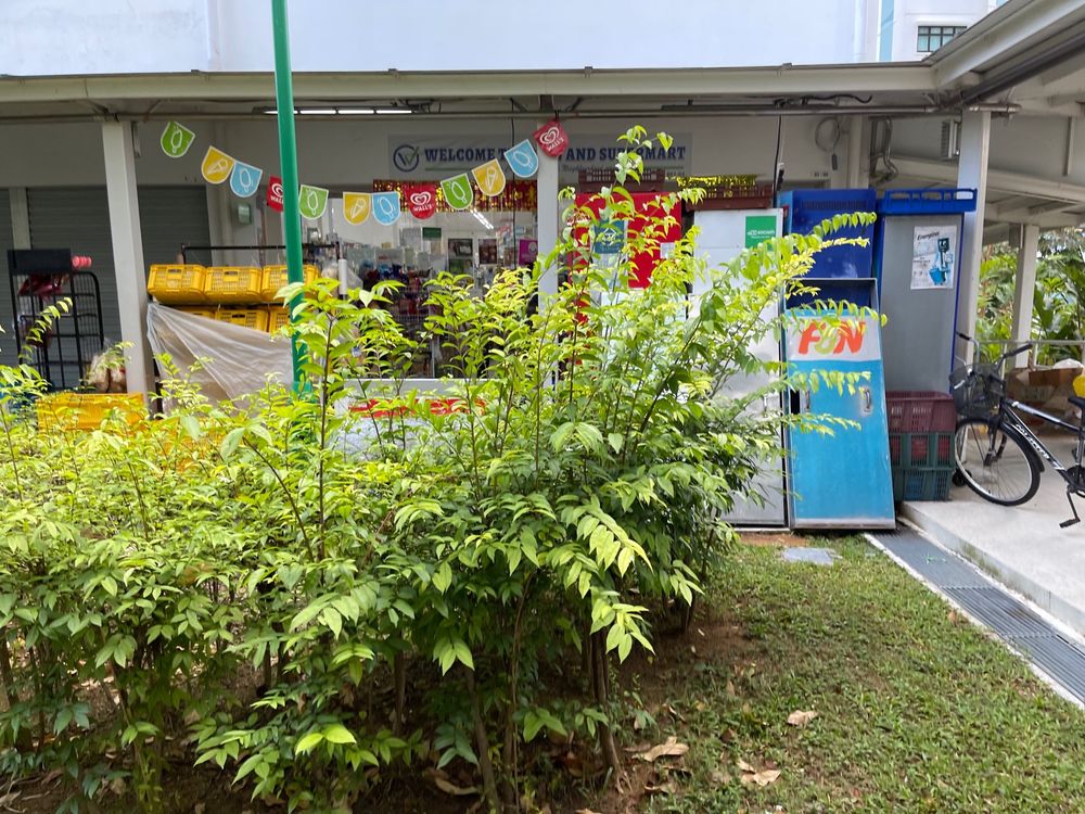 WELCOME TRADING AND SUPERMART - 278C Compassvale Bow, Singapore ...