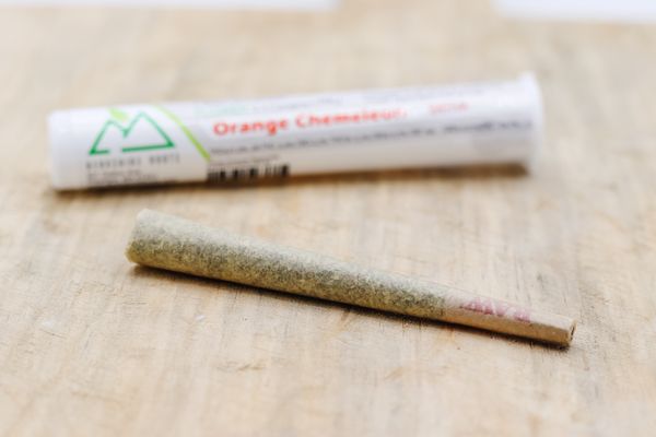 BERKSHIRE ROOTS - Updated August 2024 - 77 Photos & 13 Reviews - 253 ...