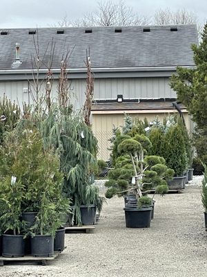 DAMMANN’S GARDEN COMPANY - Updated November 2025 - 116 Photos & 43 ...