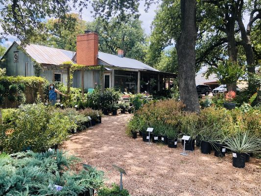 FRIENDLY NATIVES - 16 Photos - Nurseries & Gardening - 1107 N Llano St ...