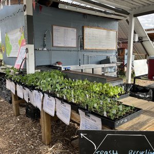 FERRARI FARMS - Updated October 2025 - 191 Photos & 69 Reviews - 4701 ...