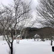 NESTLENOOK FARM VICTORIAN RECREATION PARK - 47 Photos & 32 Reviews - 66 ...