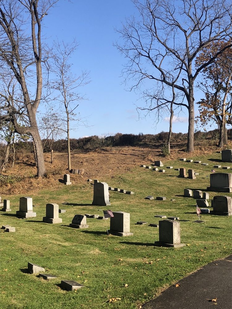 MONKEY’S TREE SERVICE - 13 Reviews - 311 Mountain Ave, Bound Brook, NJ ...