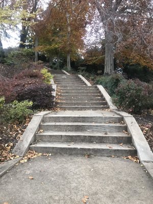 GEORGETOWN PUBLIC LIBRARY - Updated November 2025 - 20 Photos & 27 ...