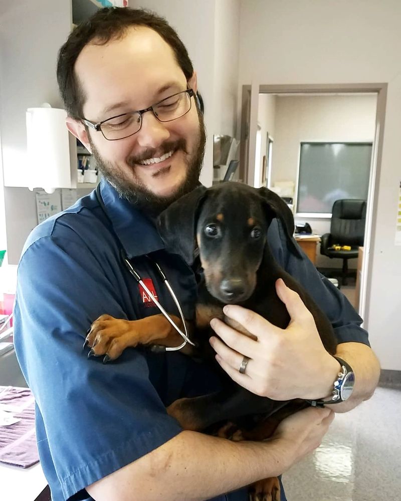 SUMMIT ANIMAL HOSPITAL - 21 Photos & 40 Reviews - 2708 NW Logan St ...