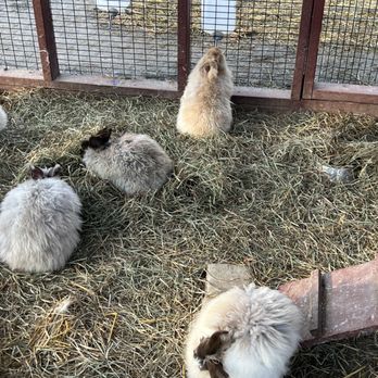 SECOR FARMS - Updated October 2024 - 187 Photos & 74 Reviews - 168 ...