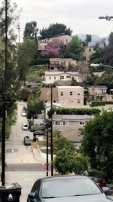 BAXTER STREET - Updated October 2025 - Between Echo Park Avenue And ...