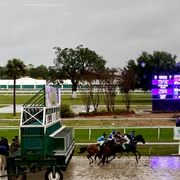 FAIR GROUNDS RACE COURSE & SLOTS - 289 Photos & 78 Reviews - 1751 ...