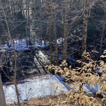 THE LADY KILLIGREW CAFE - Updated December 2025 - 115 Photos & 168 ...