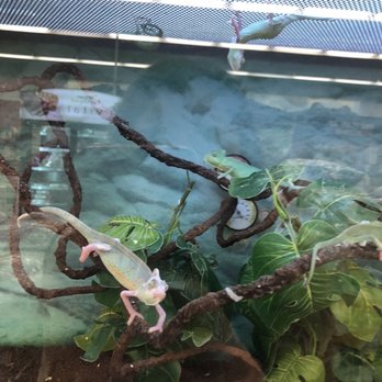 PETCO - Updated September 2024 - 22 Photos & 23 Reviews - 16434 Market ...