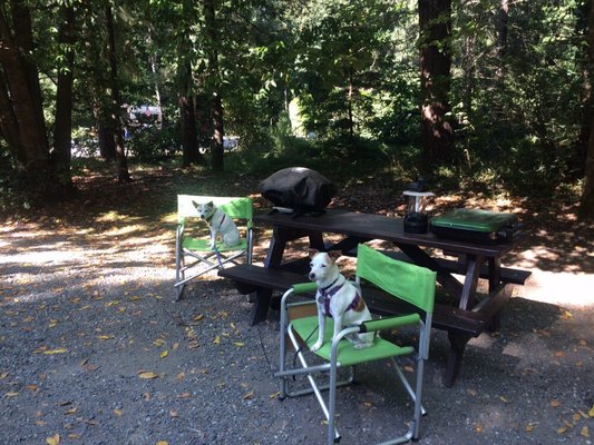 SECRET CAMP RV & TENT PARK - Updated December 2025 - 24 Reviews - 95614 ...