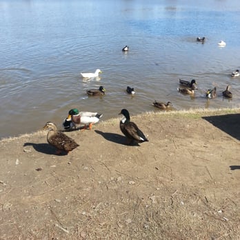 ANGIER RECREATION PARK - Updated July 2025 - 17 Photos - Hickory St ...