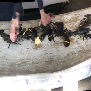 RYER’S LOBSTERS - Updated December 2025 - 57 Photos & 35 Reviews - 8494 ...