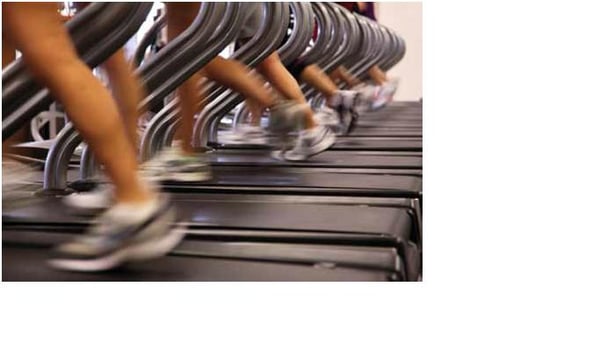 SWAN LEISURE - Updated October 2025 - 28 Photos & 17 Reviews ...