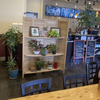 SP CAFÉ - Updated May 2024 - 586 Photos & 333 Reviews - 602 NW Loop 410 ...