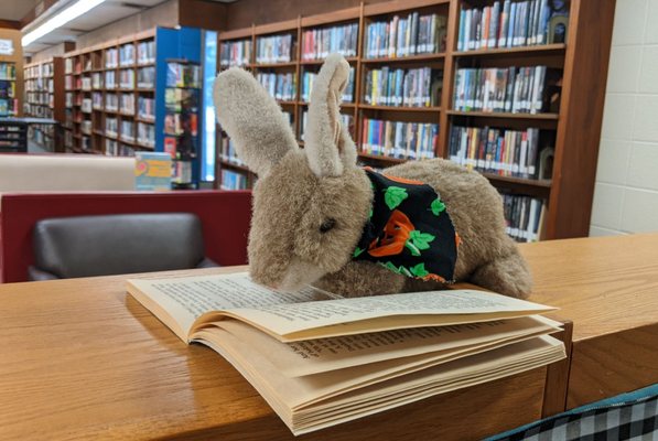 ENFIELD PUBLIC LIBRARY - Updated October 2025 - 17 Photos - 104 Middle ...