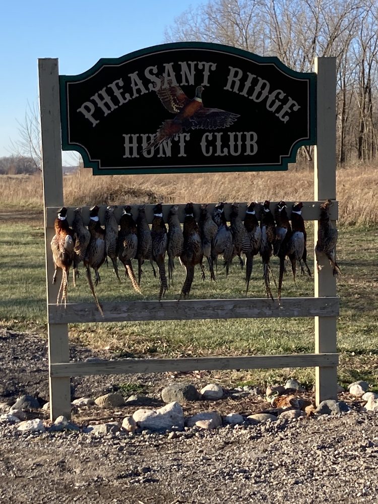 PHEASANT RIDGE HUNT CLUB - Updated January 2025 - 7677 Martin Rd, Imlay ...