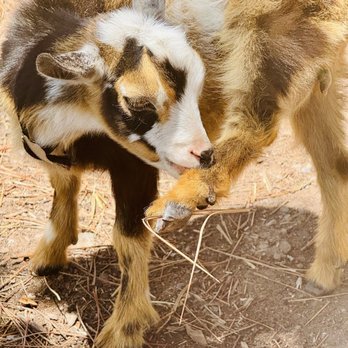 JAMES RANCH GRILL - Updated August 2025 - 287 Photos & 276 Reviews ...