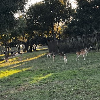 AVERY RANCH GOLF CLUB - Updated November 2025 - 66 Photos & 99 Reviews ...