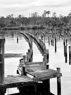 CAPTAIN BOB BECK’S MARINA CAFE - Updated March 2026 - 191 Photos & 254 ...