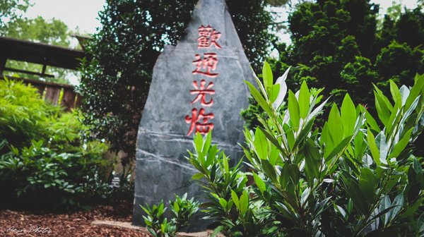 UNC CHARLOTTE BOTANICAL GARDENS - Updated July 2025 - 276 Photos & 47 ...