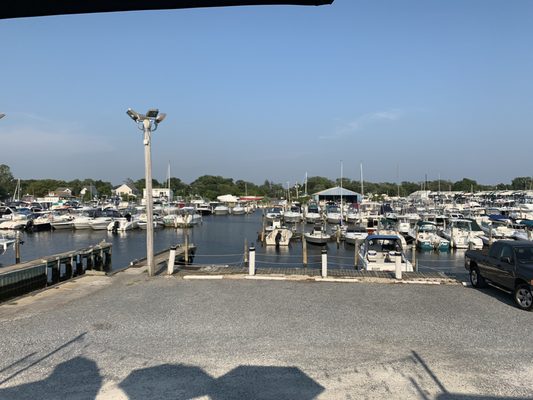 DUBLIN DECK - 90 Photos & 163 Reviews - 325 River Ave, Patchogue, NY ...